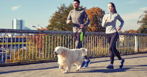 Top-Rated Dog Training in Mooresville & Lake Norman